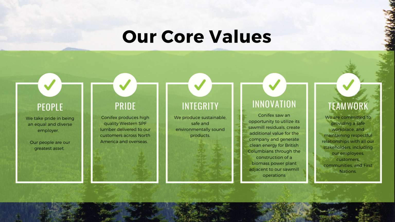 About Us – Conifex Timber